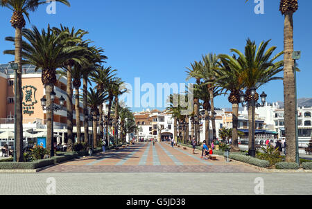 Palm trees at the Balcón de Europa, Nerja, Costa del Sol, Andalusia ...