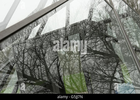 Reflection of trees in metal and glass structure in park Stock Photo ...