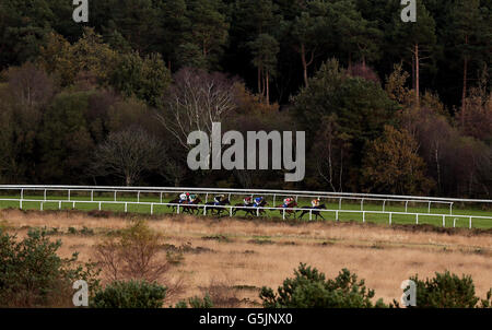 Horse Racing - Exeter Racecourse Stock Photo - Alamy