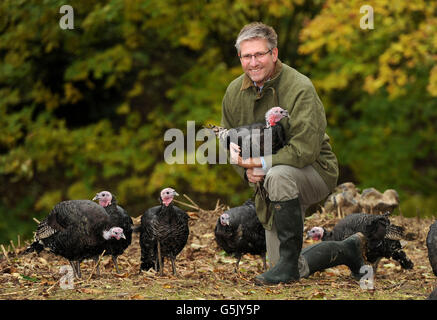 A British Free Range Bronze 'Roly Poly' Tom turkey is surrounded by ...