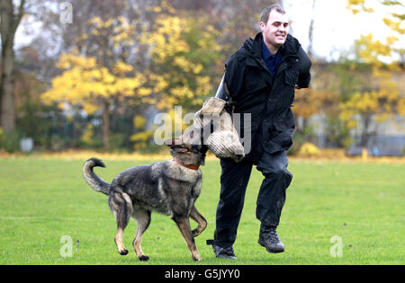 A Greater Manchester Police Dog Handler with his search dog Stock Photo ...