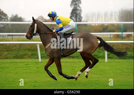 Rosoff and Ian Mongan go to post for the William Hill 'Flat Jockeys ...