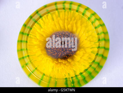 Photograph of some colorful jelly spheres with flowers Stock Photo - Alamy