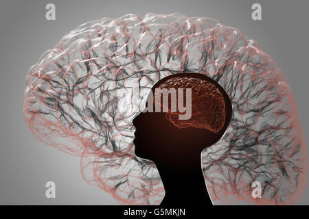 The human brain. Projection of the cerebral cortex Stock Photo - Alamy