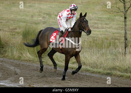 Flemenstar under jockey Andrew Lynch jumps the last to win the Frank ...