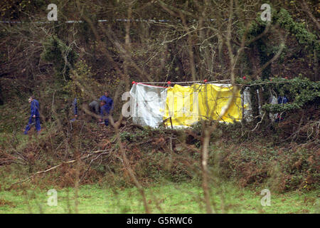 MARK AND RODERICK NEWALL Stock Photo - Alamy
