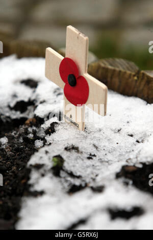 A Remembrance Cross sits in the snow at the Memorial Garden in ...