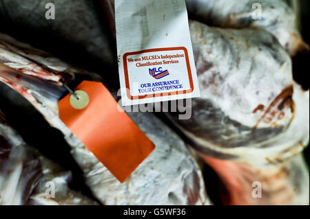A meat identifying tag on a beef carcass, complete with barcode, that ...