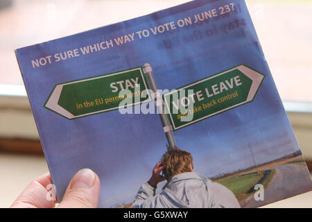 EU Referendum leaflet Stock Photo - Alamy