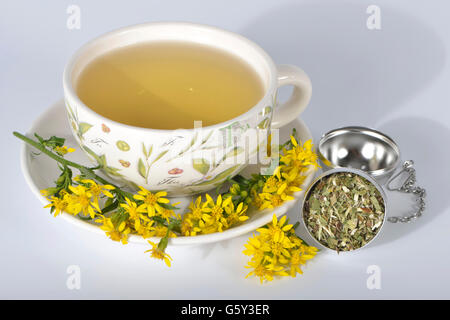 Goldenrod tea / (Solidago virgaurea Stock Photo - Alamy