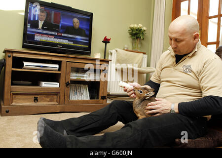 Curator of Mammals at Chester Zoo Tim Rowlands at home, hand rearing a ...