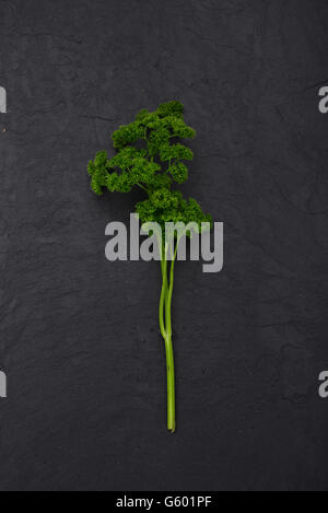 Raw Organic French Parsley Chervil on a Background Stock Photo - Alamy