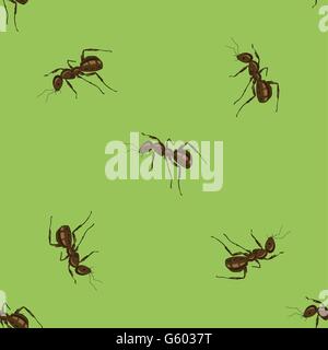 ant trail path seamless pattern. Insect invasion concept Stock Vector Image & Art - Alamy