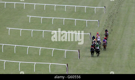Horse Racing - March Madness - Exeter Racecourse Stock Photo - Alamy