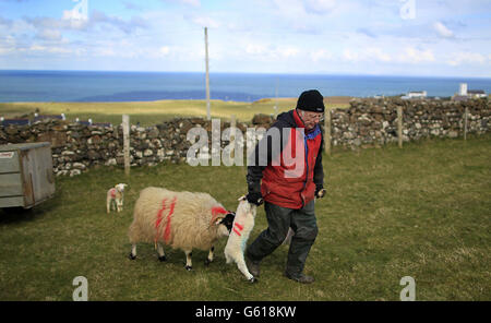 Maurice McHenry, a sheep farmer on 'The Parks' farm outside the village ...