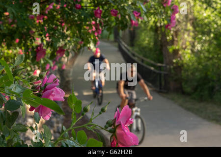 River walk, downtown Durango Colorado Stock Photo - Alamy