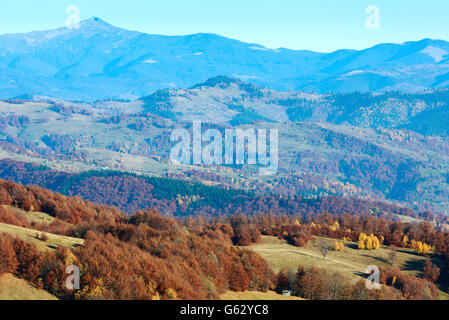 Autumn trees on mountain slope Stock Photo - Alamy