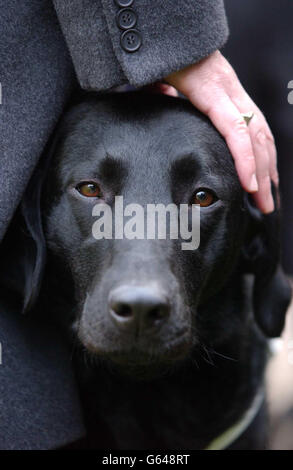 Home Secretary David Blunkett introduces his new guide dog Sadie to the ...