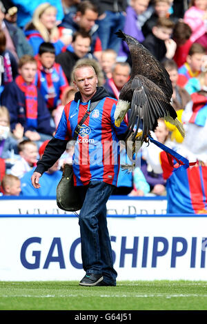 Kayla the Eagle, Crystal Palace's mascot, an American bald eagle, is ...