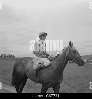 Terry Biddlecombe, National Hunt Jockey, and wife Bridget at Aintree ...