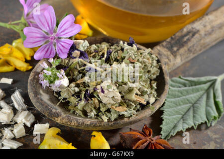 Althaea officinalis (Althaea officinalis), dried root Stock Photo - Alamy
