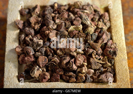Tormentil, dried roots / (Potentilla tormentilla Stock Photo - Alamy