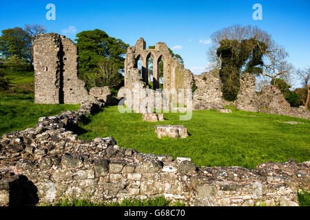 Inch Abbey, Co Down, Northern Ireland Stock Photo - Alamy