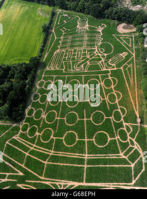 An aerial view of this year's York Maze which is celebrating 25 Years ...