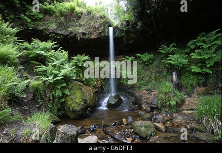 Yad Waterfall Maspie Den Falkland Fife Scotland June 2016 Stock Photo ...