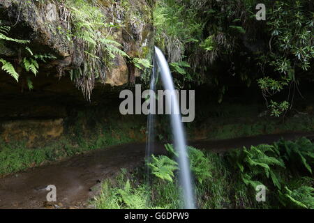 Yad Waterfall Maspie Den Falkland Fife Scotland June 2016 Stock Photo ...