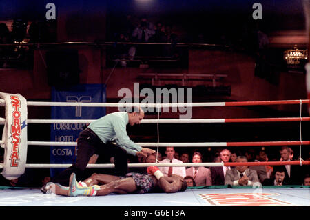 Boxing - WBC World Middleweight Championship - Julian Jackson v Herol ...