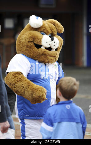Blackburn Rovers mascot Rover the Dog ahead of the Sky Bet Championship ...