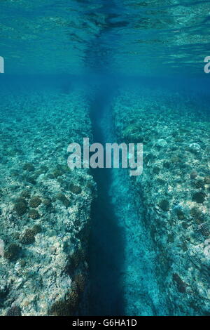 Underwater landscape, a natural trench into the reef slope due to wave ...