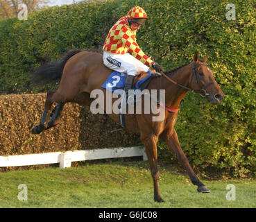 Mick Fitzgerald and Orswell Crest Stock Photo - Alamy
