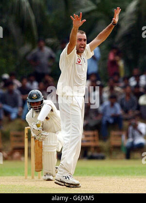 Cricket bowler appealing for a wicket Stock Photo - Alamy