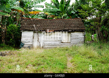Miserable shack, house. Worn and dilapidated wooden shed. poor housing ...