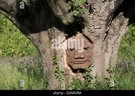Face in the tree sculpture, Brungerley Park, Clitheroe, Ribble Valley ...