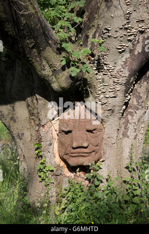 Face in the tree sculpture, Brungerley Park, Clitheroe, Ribble Valley ...