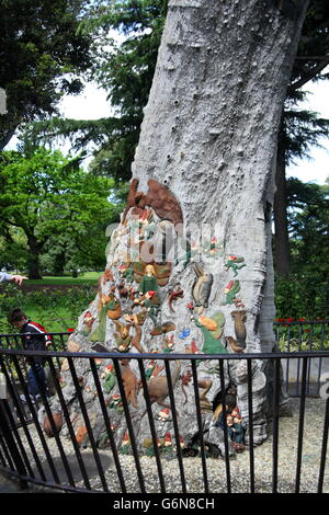 Scarred Tree in Fitzroy Gardens, Melbourne Stock Photo - Alamy
