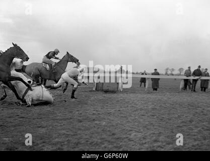 Terry Biddlecombe falls from 'Laird O'Montrose' at the last fence. Also ...