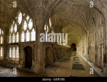 Cloisters of Gloucester Cathedral, founded as an Abbey in Saxon times ...