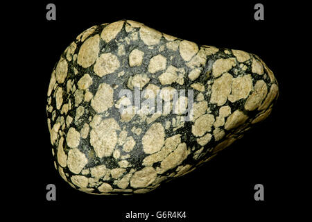 Porphyry, igneous rock, feldspar phenocrysts in mafic matrix, Australia ...