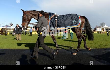 Sprinter Sacre is lead around the parade ring before the start of the ...