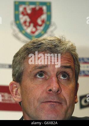 The head coach of the Hungarian national soccer team, Marco Rossi ...
