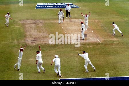 England slip fielder Andrew Flintoff celebrates catching the ball to ...