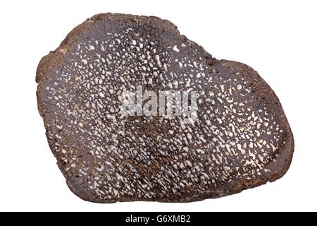Dinosaur Petrified Bone Stock Photo - Alamy
