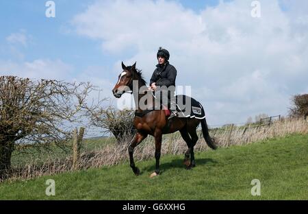 Trainer Michael Scudamore with Monbeg Dude during the stable visit at ...