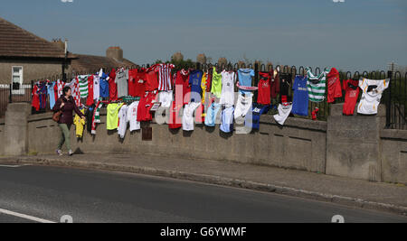 Liam Whelan bridge Stock Photo - Alamy