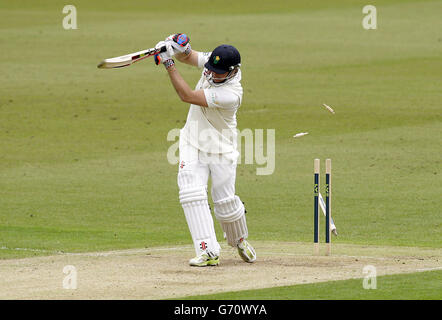 Glamorgan's Gareth Rees Stock Photo - Alamy