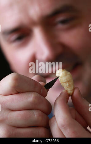 Englands Top 19 Footy Heroes Brazil nuts Stock Photo - Alamy